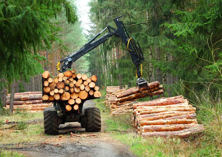 SIC Code 081 Timber Tracts SICCODE SIC Code 081 Timber Tracts SICCODE